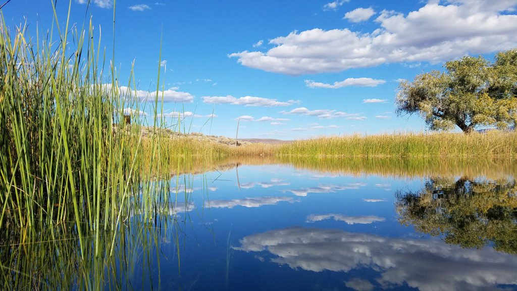 Environmental Services - Riverside Global